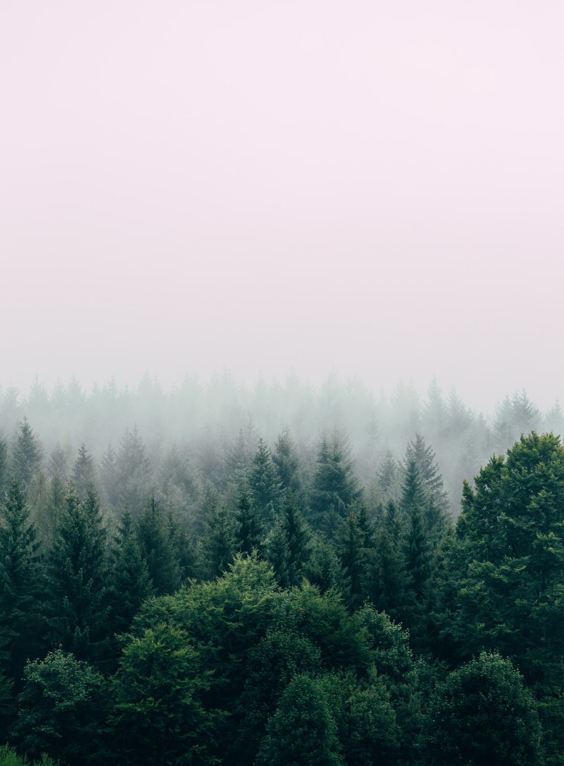 Cyllene | Notre Démarche RSE